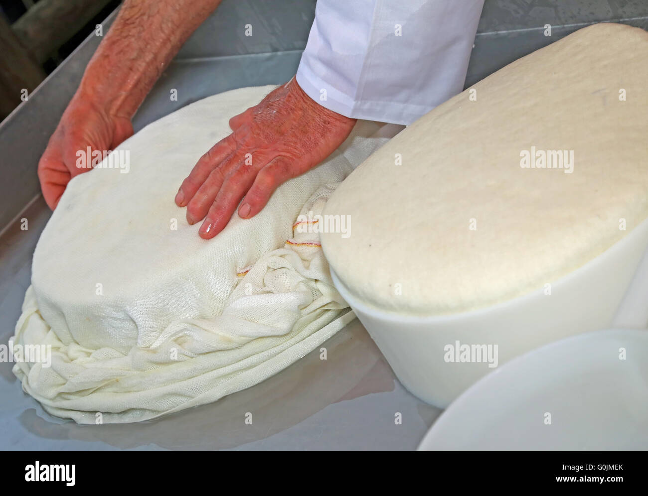 hand of expert senior cheesemaker controls the wheel of cheese just ...