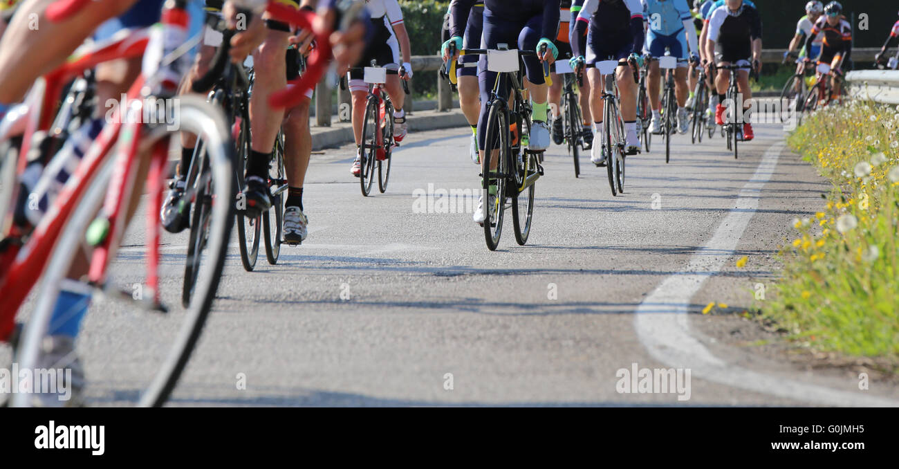 many race bike and professional cyclists during the cycling race on ...