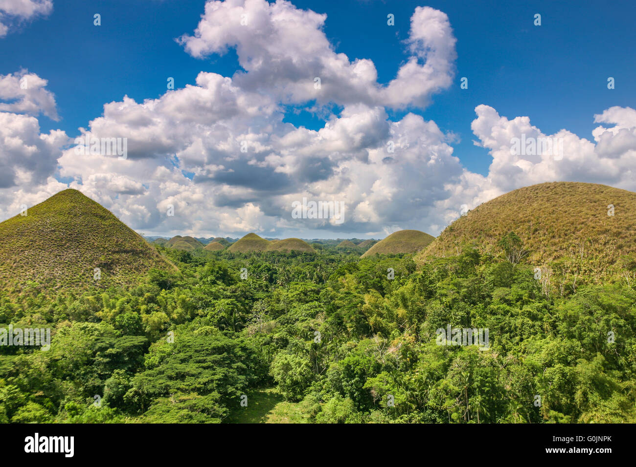 Philippines Bohol The Chocolate Hills, Bohol's most famous tourist ...