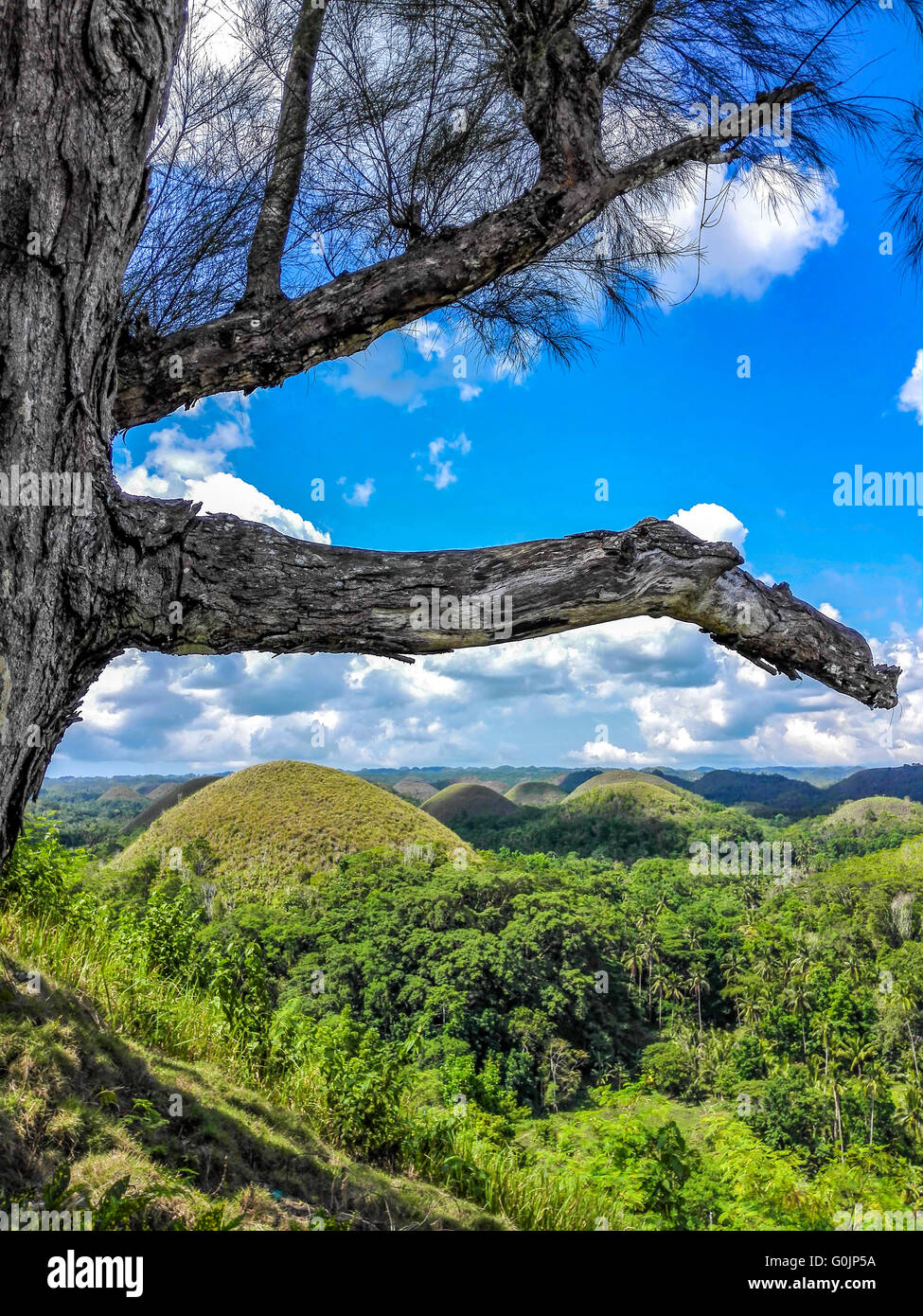 Philippines Bohol The Chocolate Hills, Bohol's most famous tourist ...