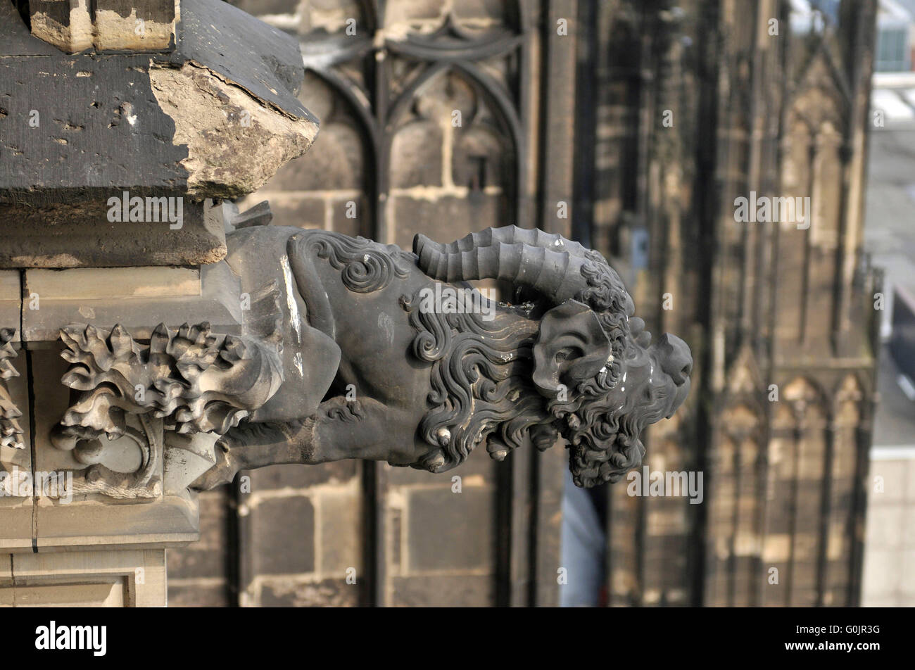 Gargoyle, waterspout, Cologne Cathedral, Cologne, North Rhine ...