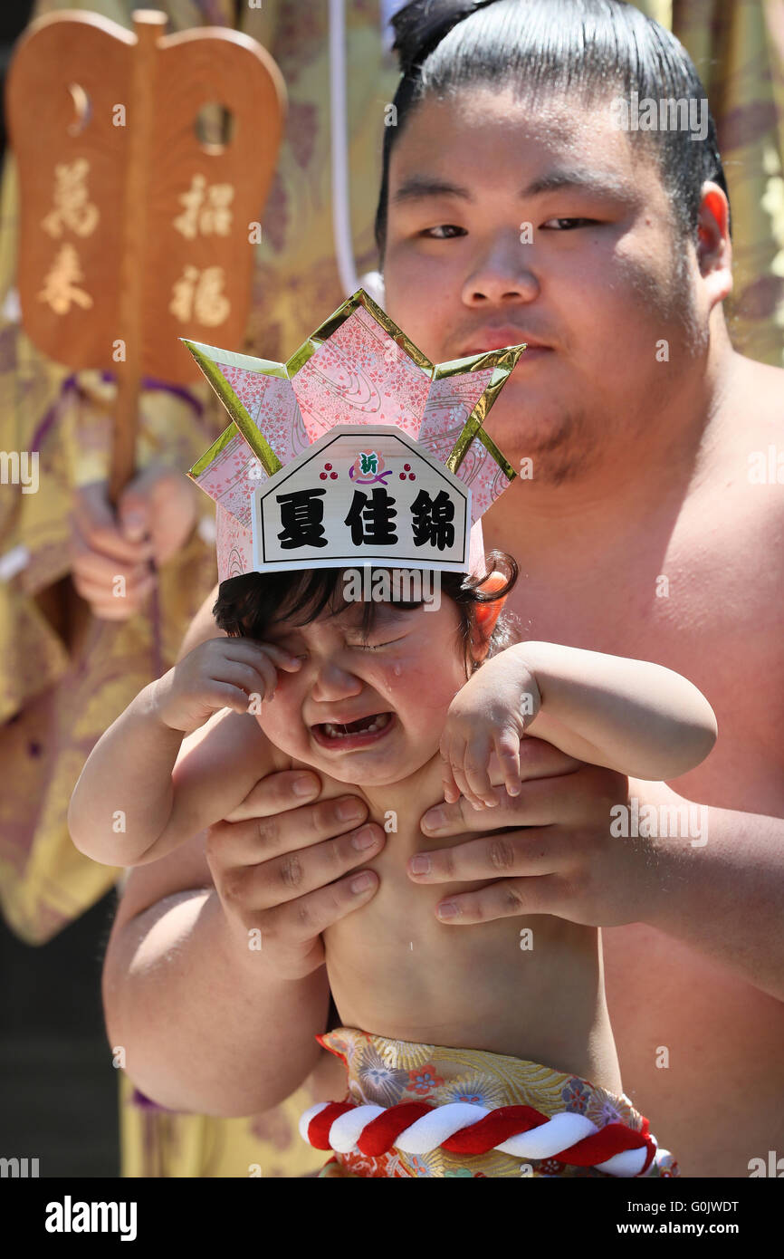 Sumo toddler sumo baby hi-res stock photography and images - Alamy