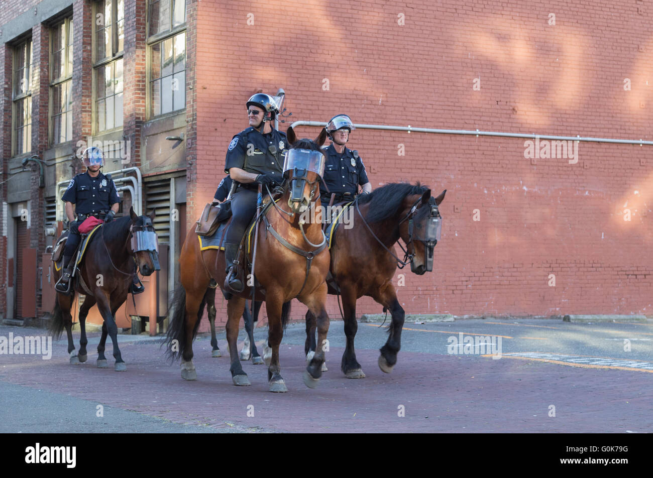 Seattle, WA, USA. 1st May, 2016. Mounted police officers patrol back ...