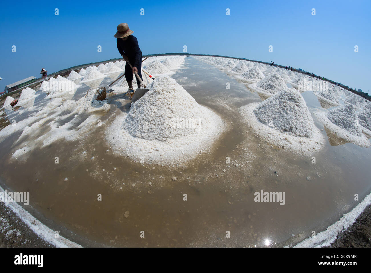 Farmer makes salt piles to be harvested Stock Photo - Alamy