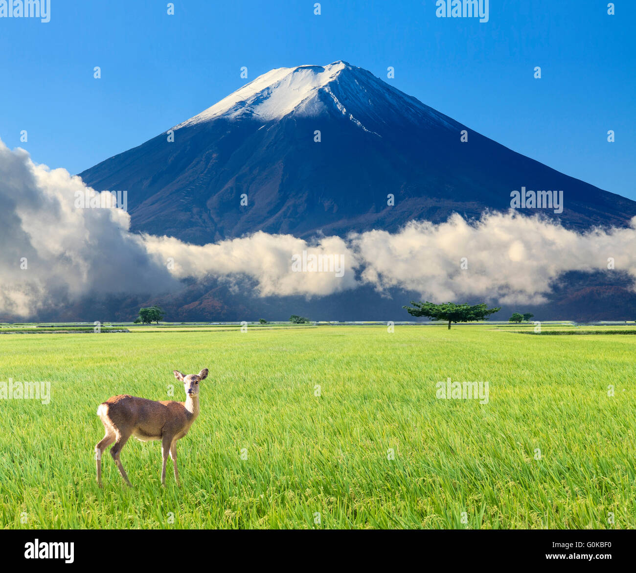 The imaging of beautiful landscape with nice nature color Stock Photo ...