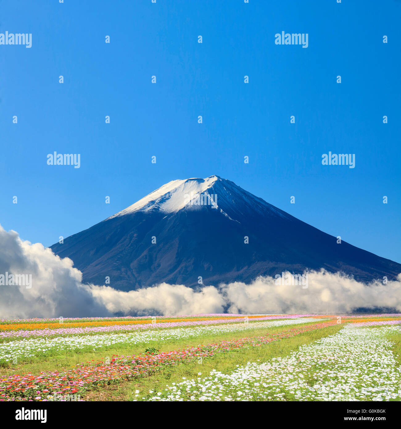 The imaging of beautiful landscape with nice nature color Stock Photo ...