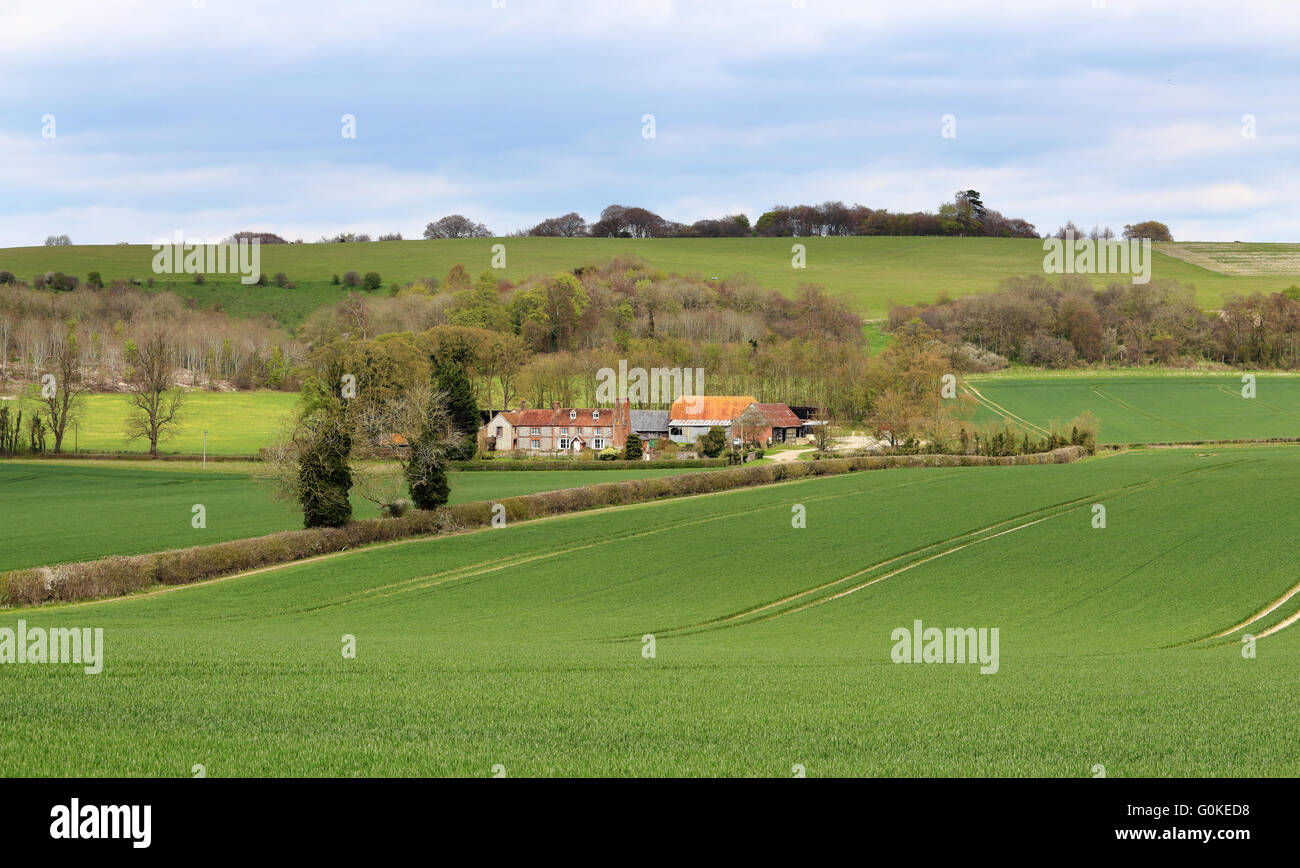 Chiltern landscape in oxfordshire hi-res stock photography and images ...