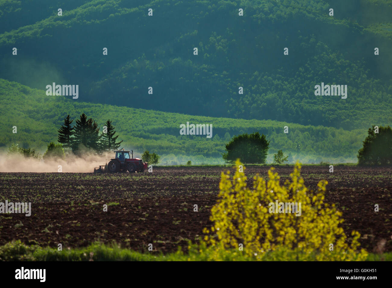 Small scale farming with tractor and plow in field Stock Photo - Alamy