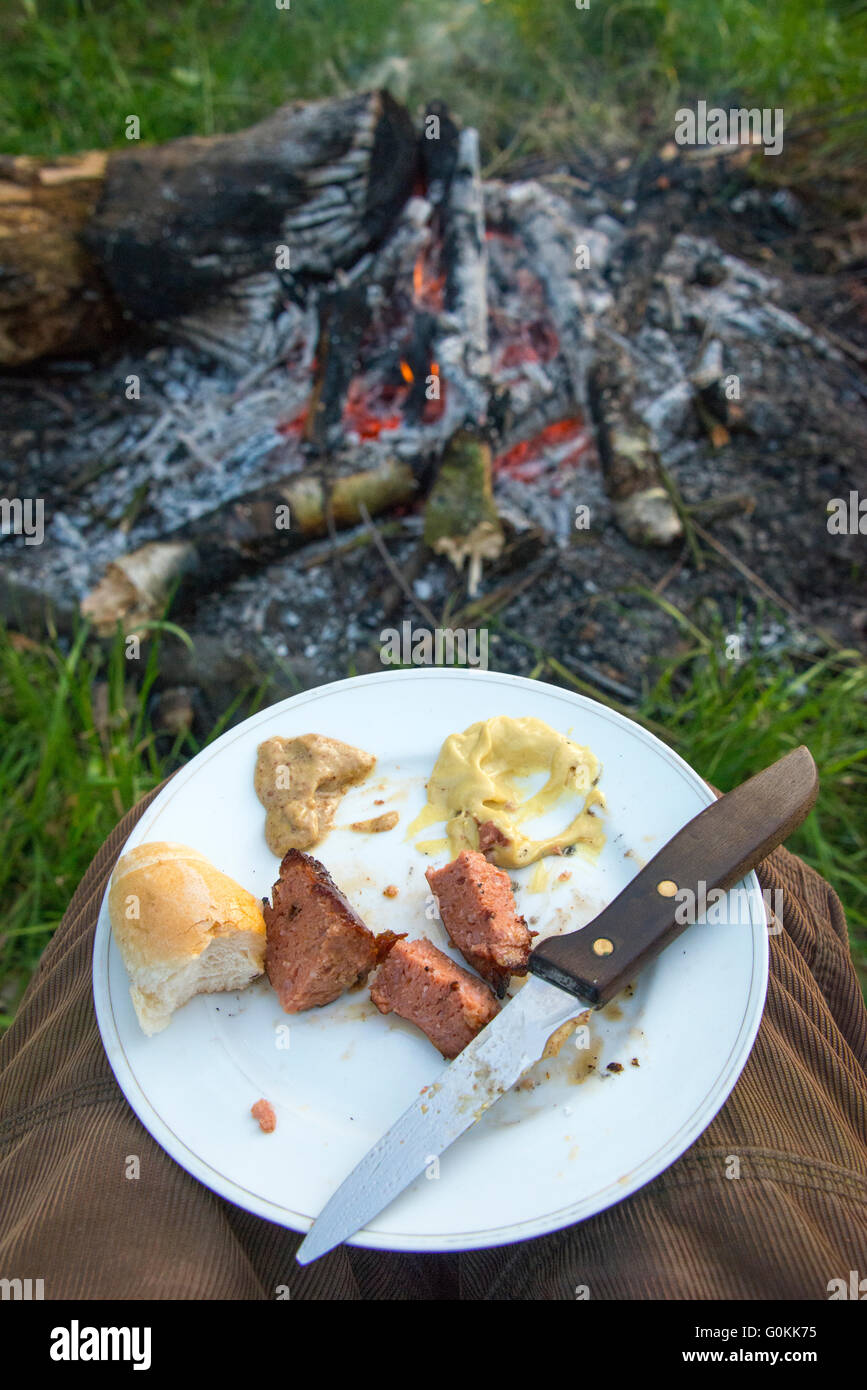 Sausage on a stick over the fire. Preparing sausages on camp fire Stock ...