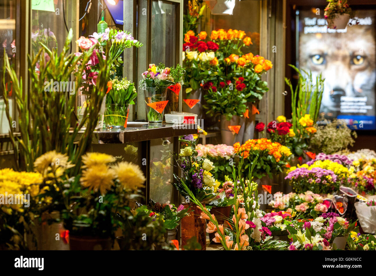 Florist shop on Narodni trida street in Prague Czech Republic street ...