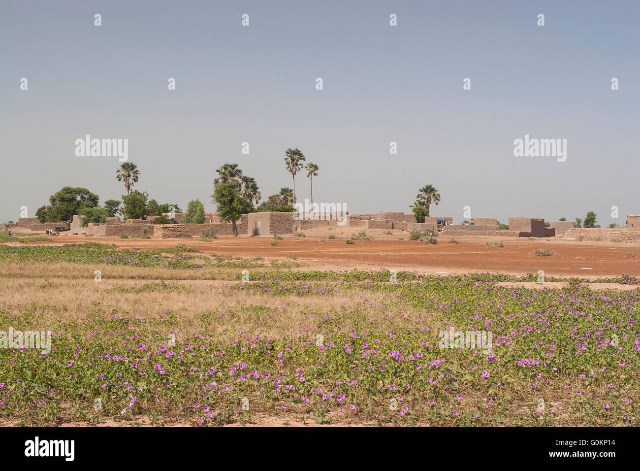 Village in sahel landscape in Mali, Africa Stock Photo - Alamy