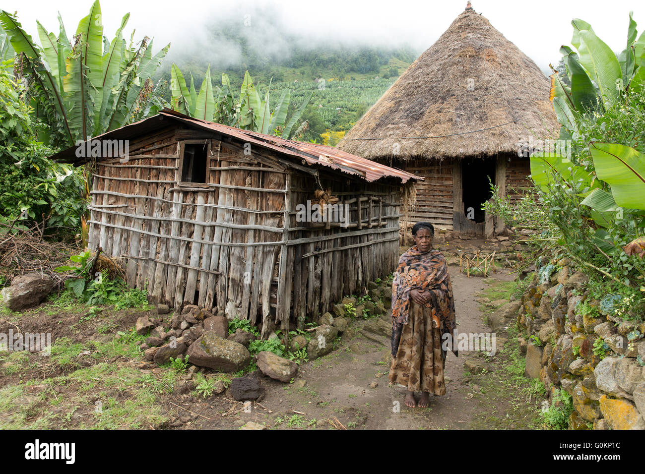 Muhe village gurage ethiopia october hi-res stock photography and ...