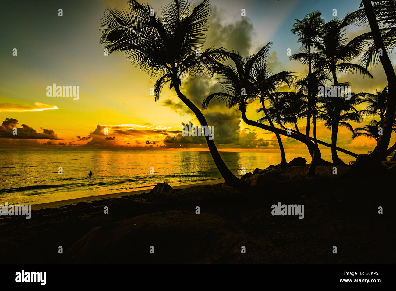 sunset silhouette of palm trees Stock Photo - Alamy