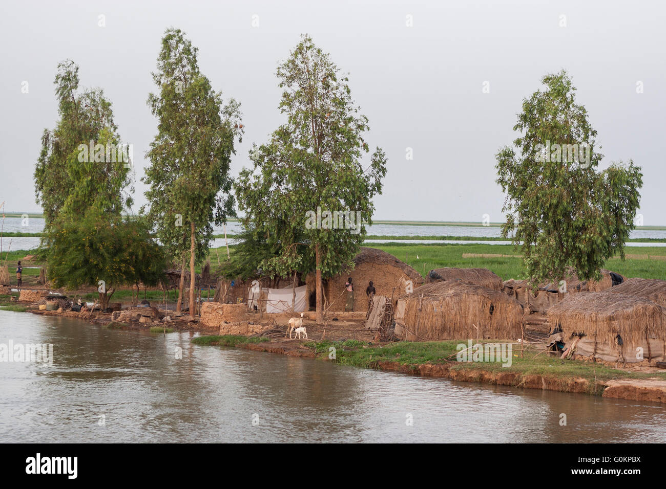 Niger River