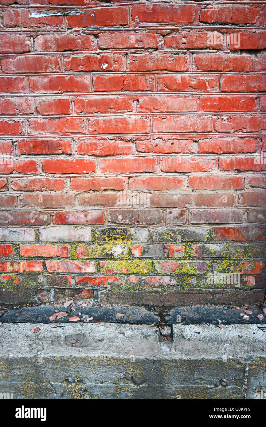 Old red brick wall vertical texture with part of concrete basement ...