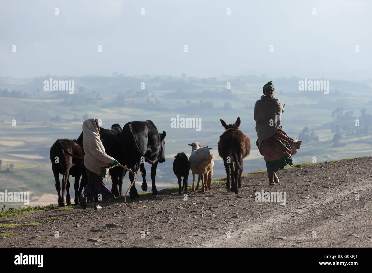 Furamariam village, Debele, Amhara, Ethiopia, October 2013: Children ...
