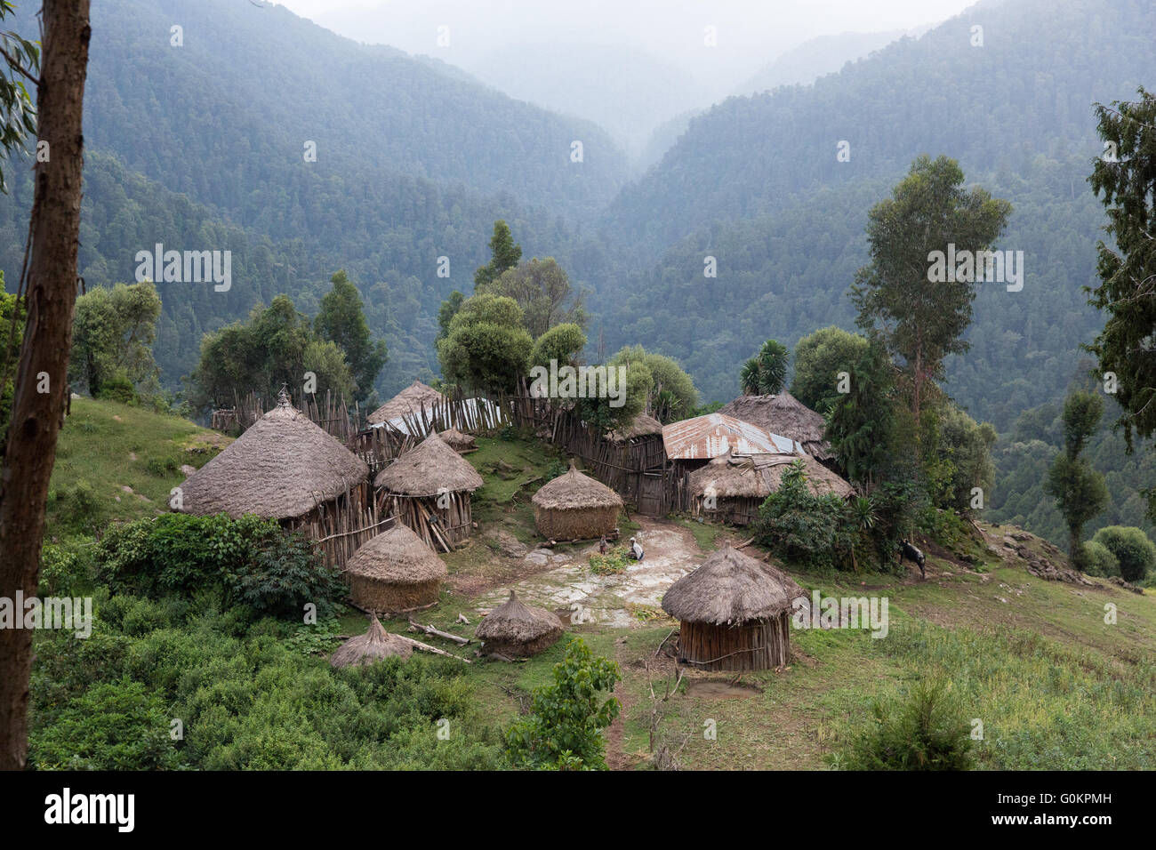 North Shewa, Ethiopia, 2013: Villagers have taken their farmland right ...
