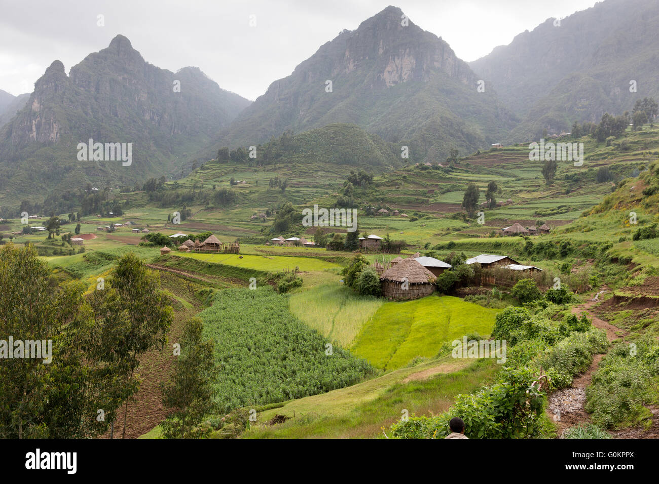Ethiopian Landscape