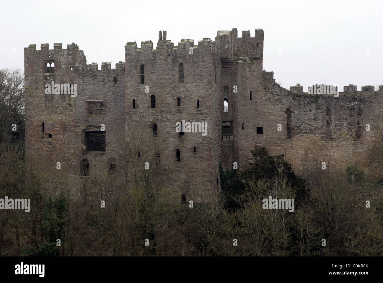 A rear view of Ludlow Castle, Ludlow, Shropshire, UK Stock Photo - Alamy