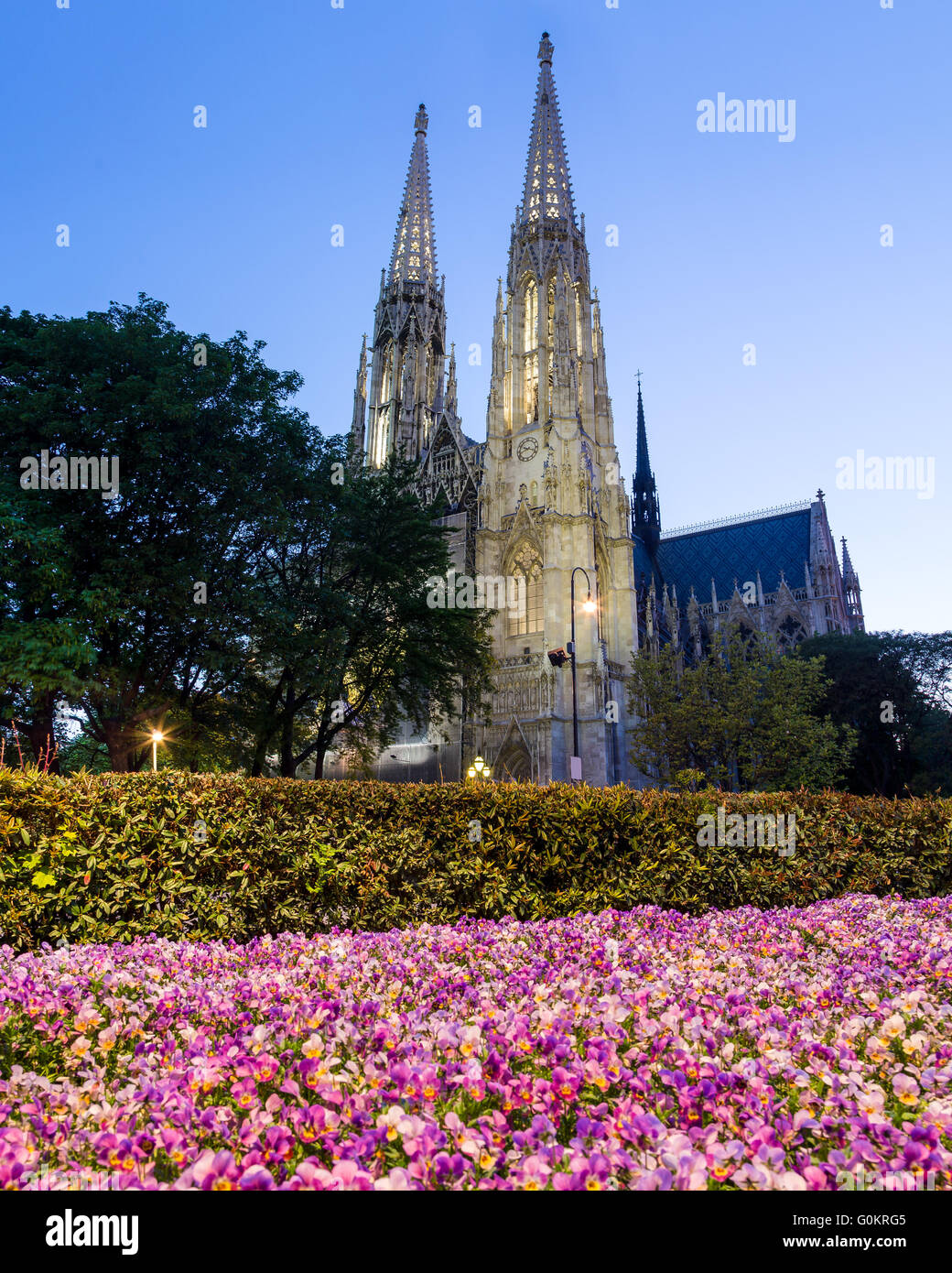 The Votive Church and purple spring flowers in Vienna at dusk Stock ...