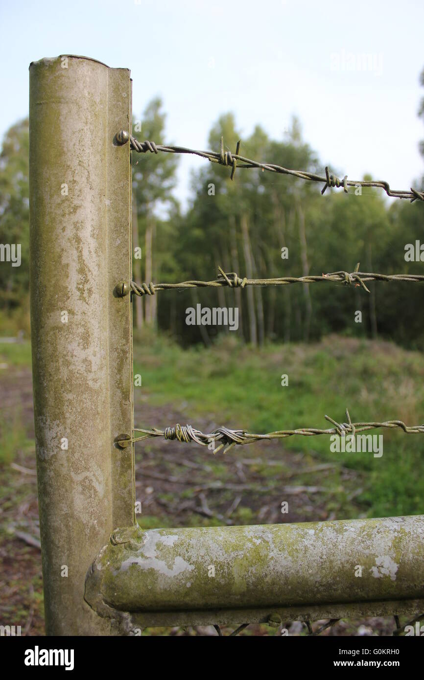 Old fence with barbed wire Stock Photo - Alamy