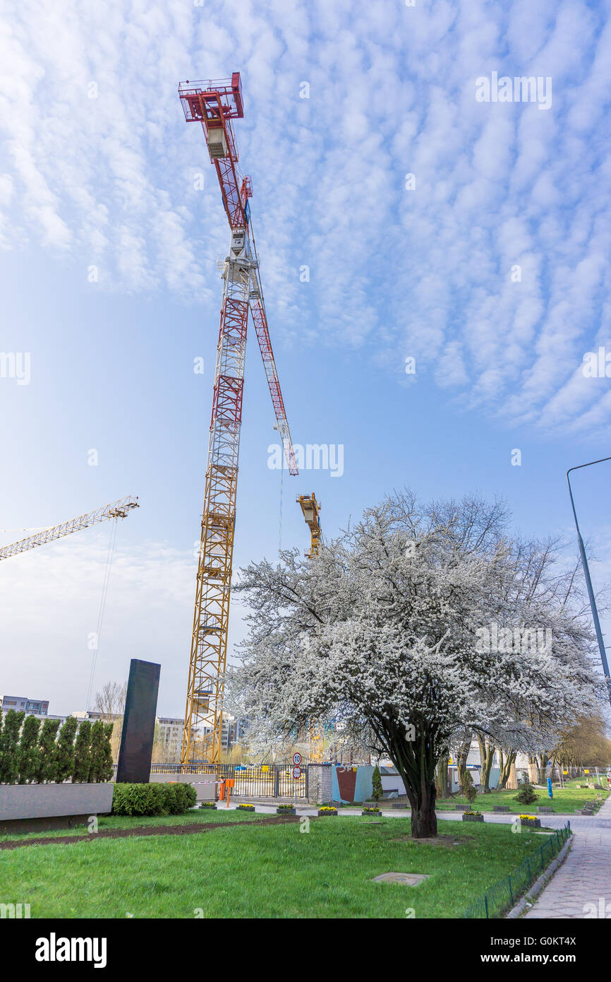 Tree construction hi-res stock photography and images - Alamy