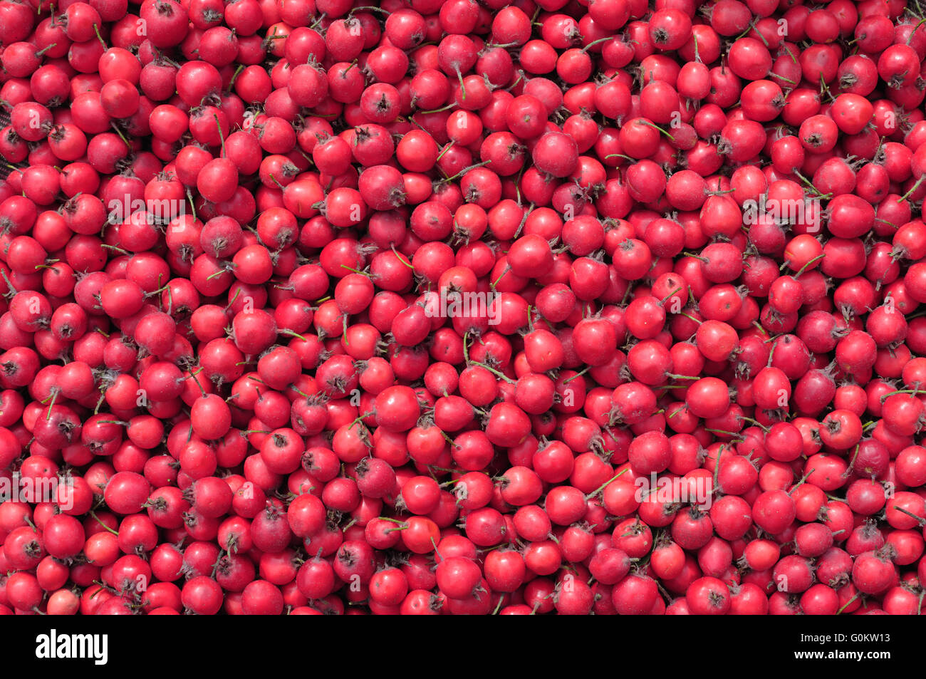 Haw fruit hi-res stock photography and images - Alamy