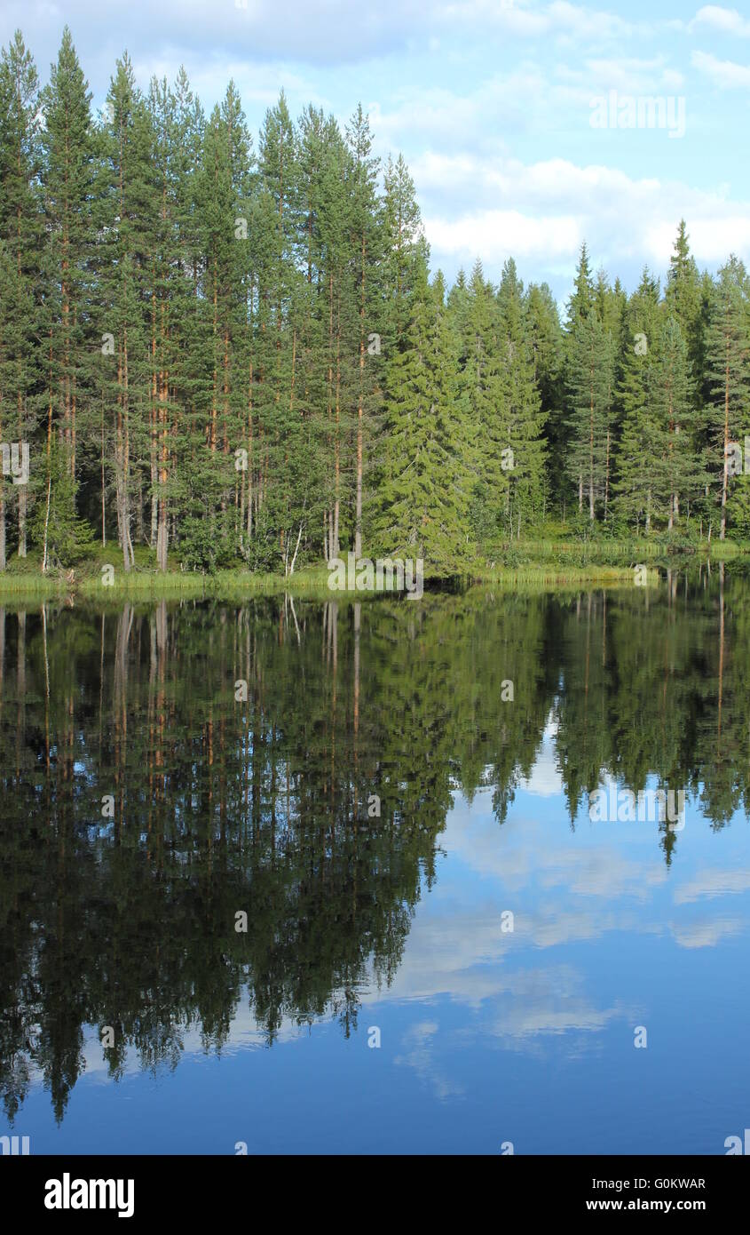 Reflections of the forest on a Swedish lake in Värmland Stock Photo - Alamy