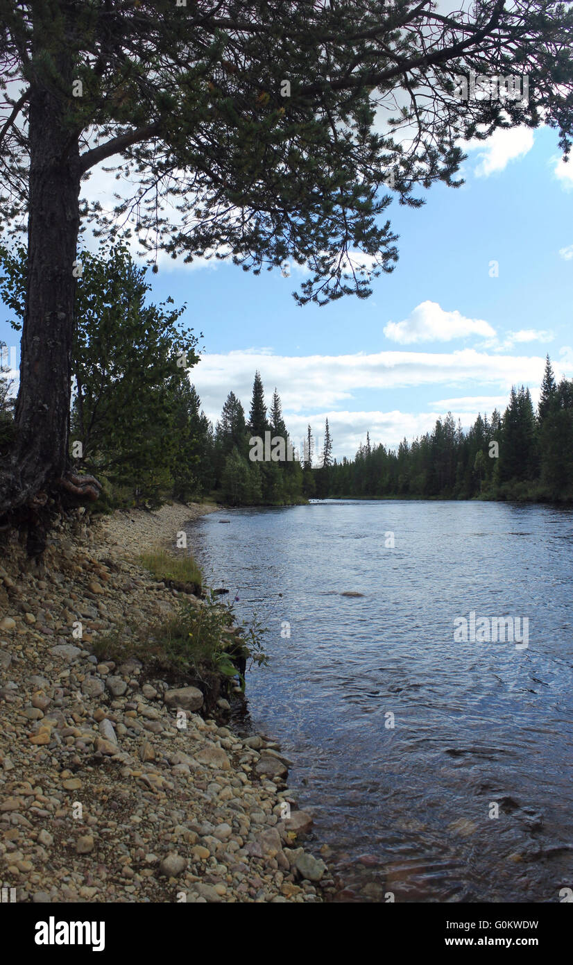 Swedish river with reflections, in Dalarna Stock Photo - Alamy