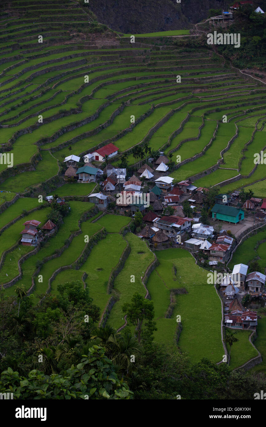 Ancient Rice Terraces of Batad located in the region of Banaue ...
