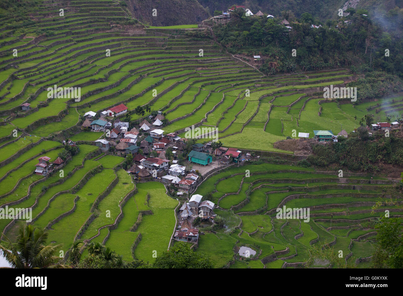 Ancient Rice Terraces of Batad located in the region of Banaue ...