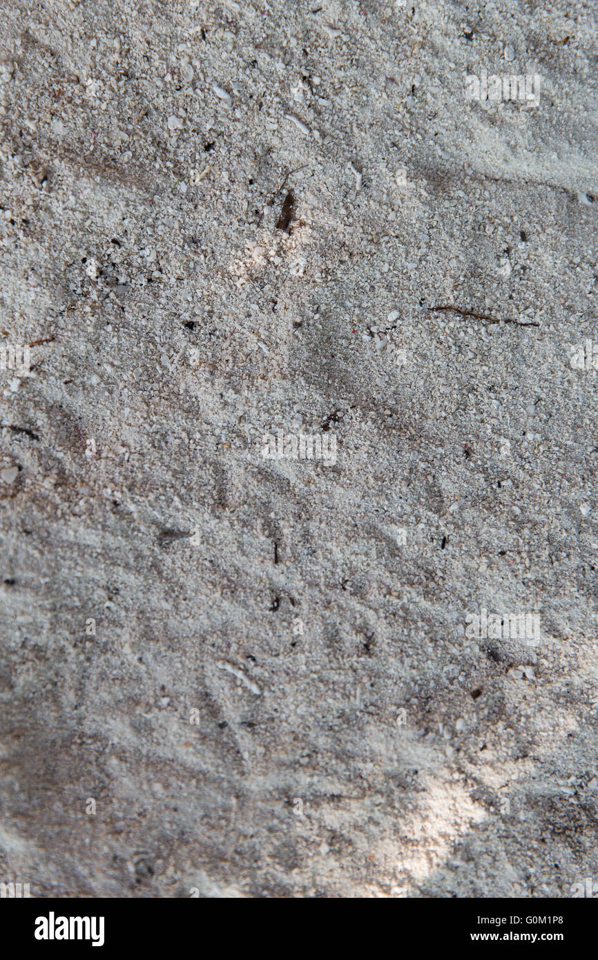 close up of sand surface Stock Photo - Alamy