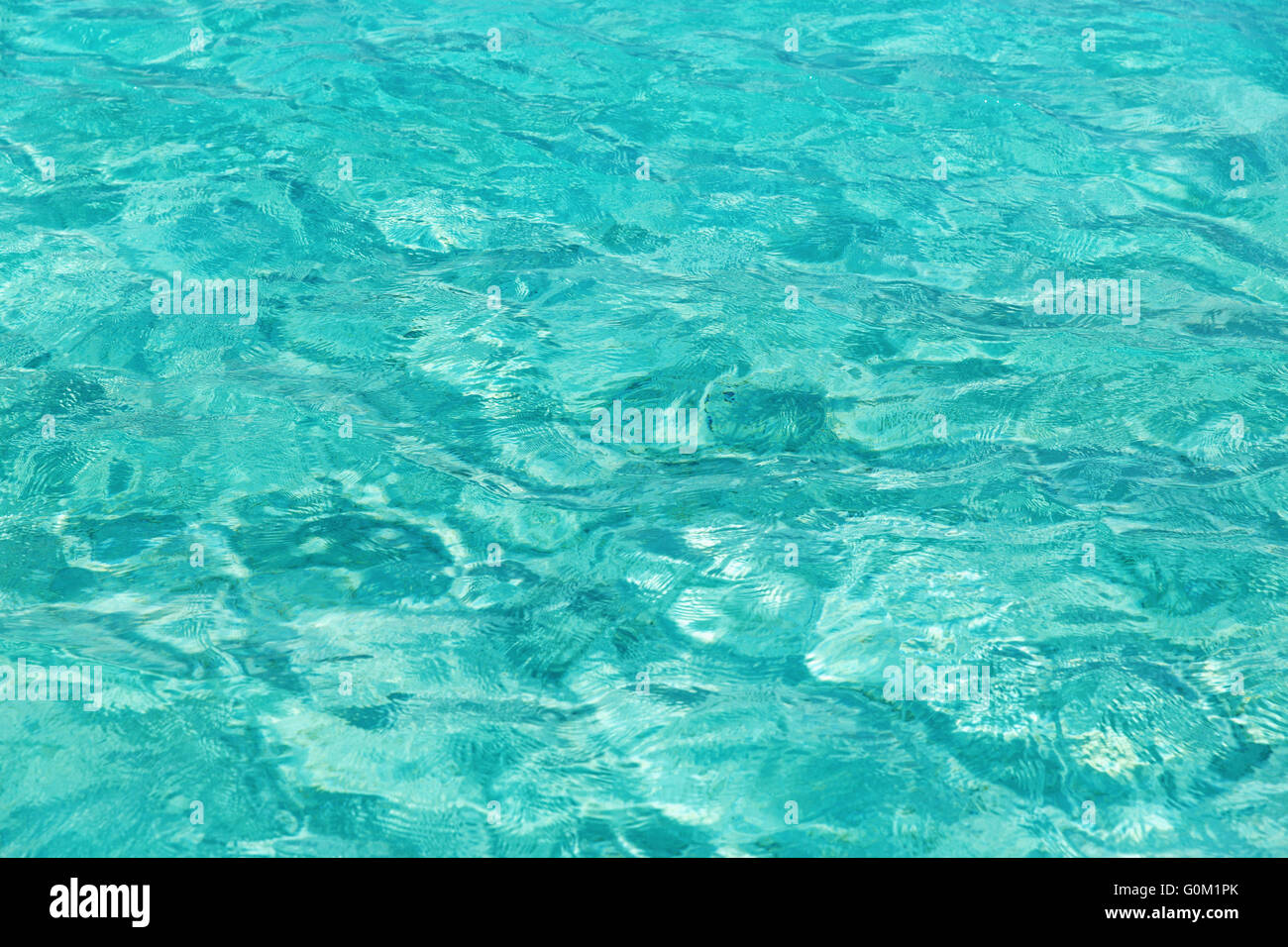 sea or ocean blue transparent water Stock Photo - Alamy