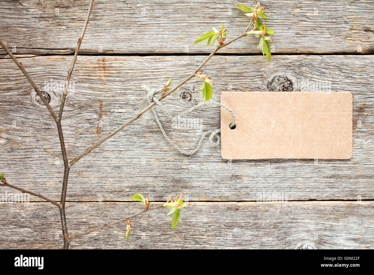Tree branch with blank tag tied with string. Copy-space Stock Photo - Alamy