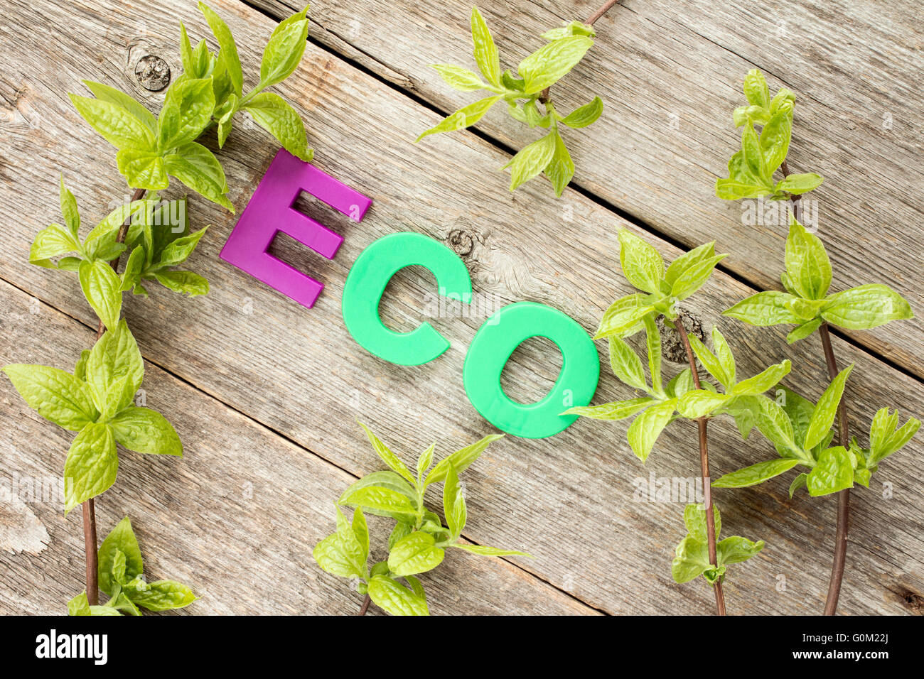 Young plants and word ECO on wooden background Stock Photo - Alamy
