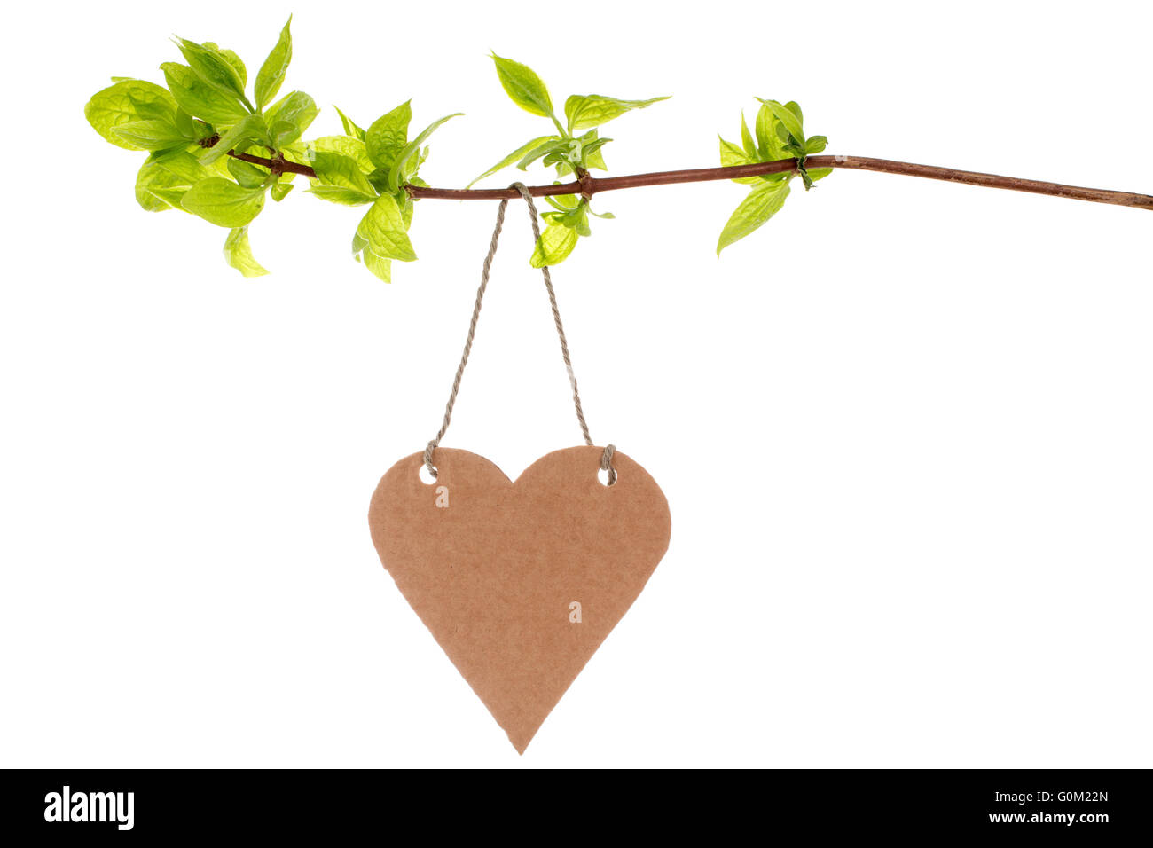 Tree branch with heart shaped tag, isolated on white background Stock ...