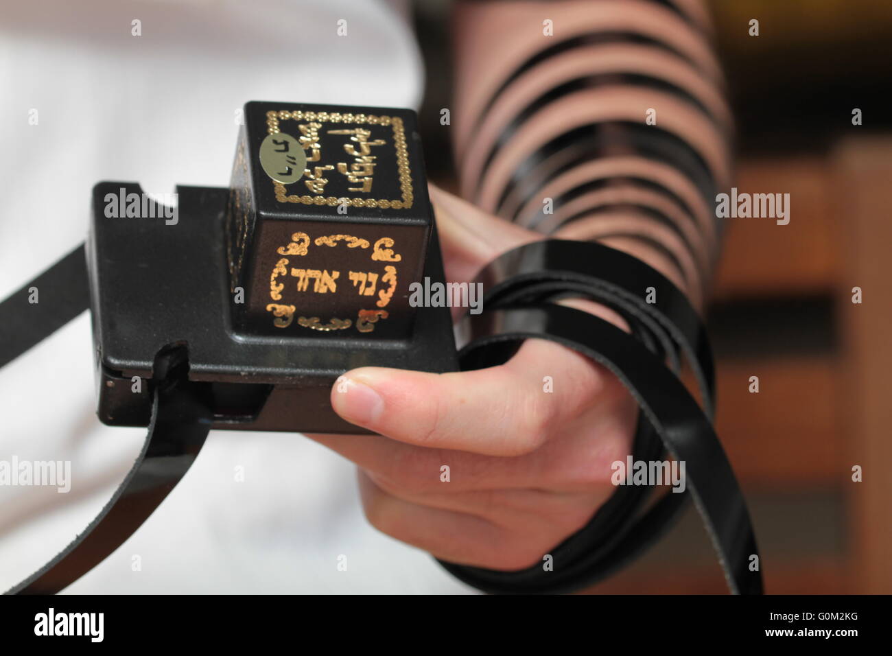 Jewish Man wrapped in tefillin pray . A religious orthodox Jew with arm ...