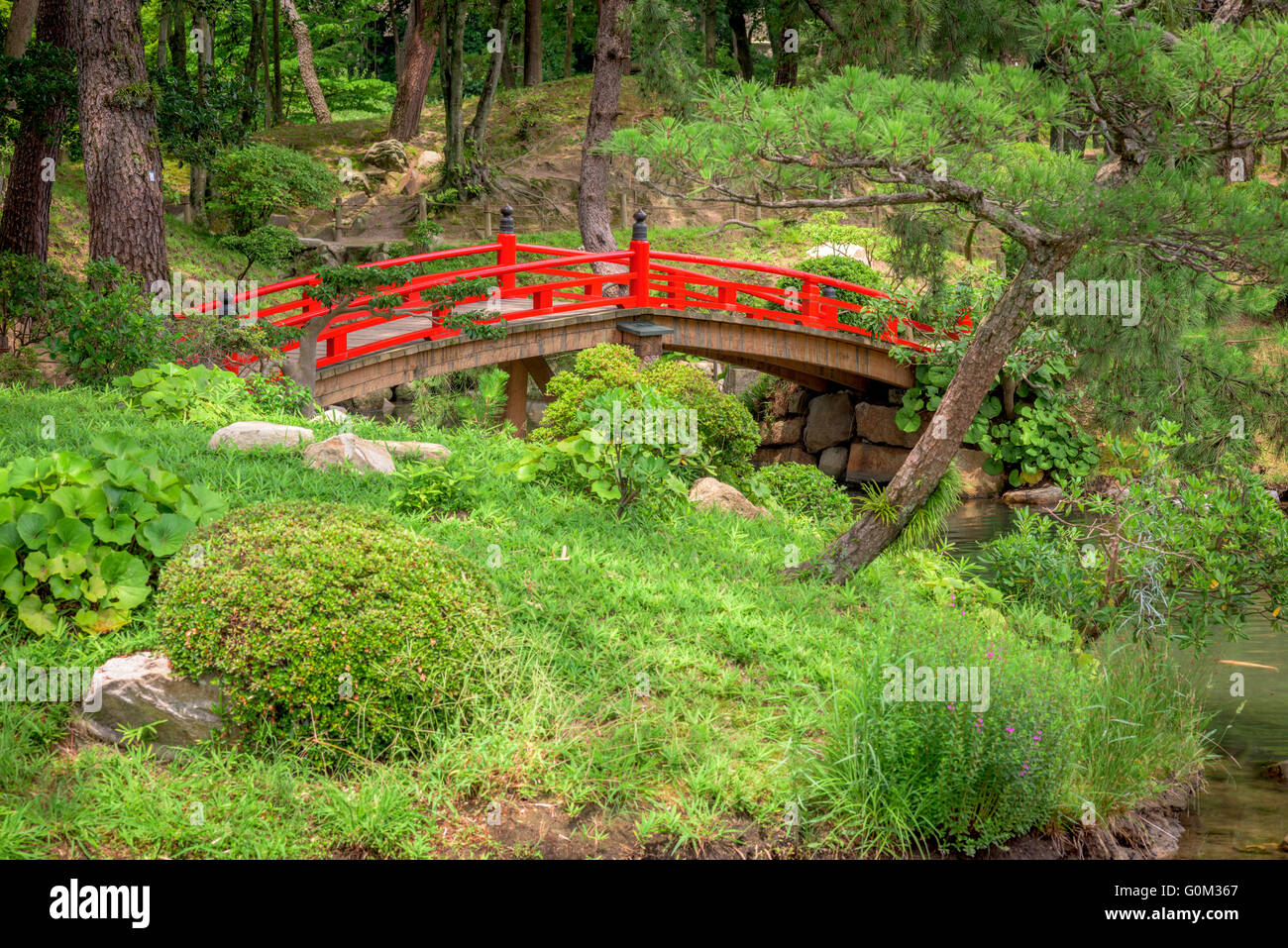 Classic red bridge in a Japan's garden Stock Photo - Alamy