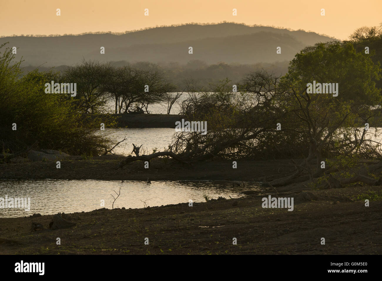 The beatiful landscape of Sasan Gir, Gujarat Stock Photo - Alamy