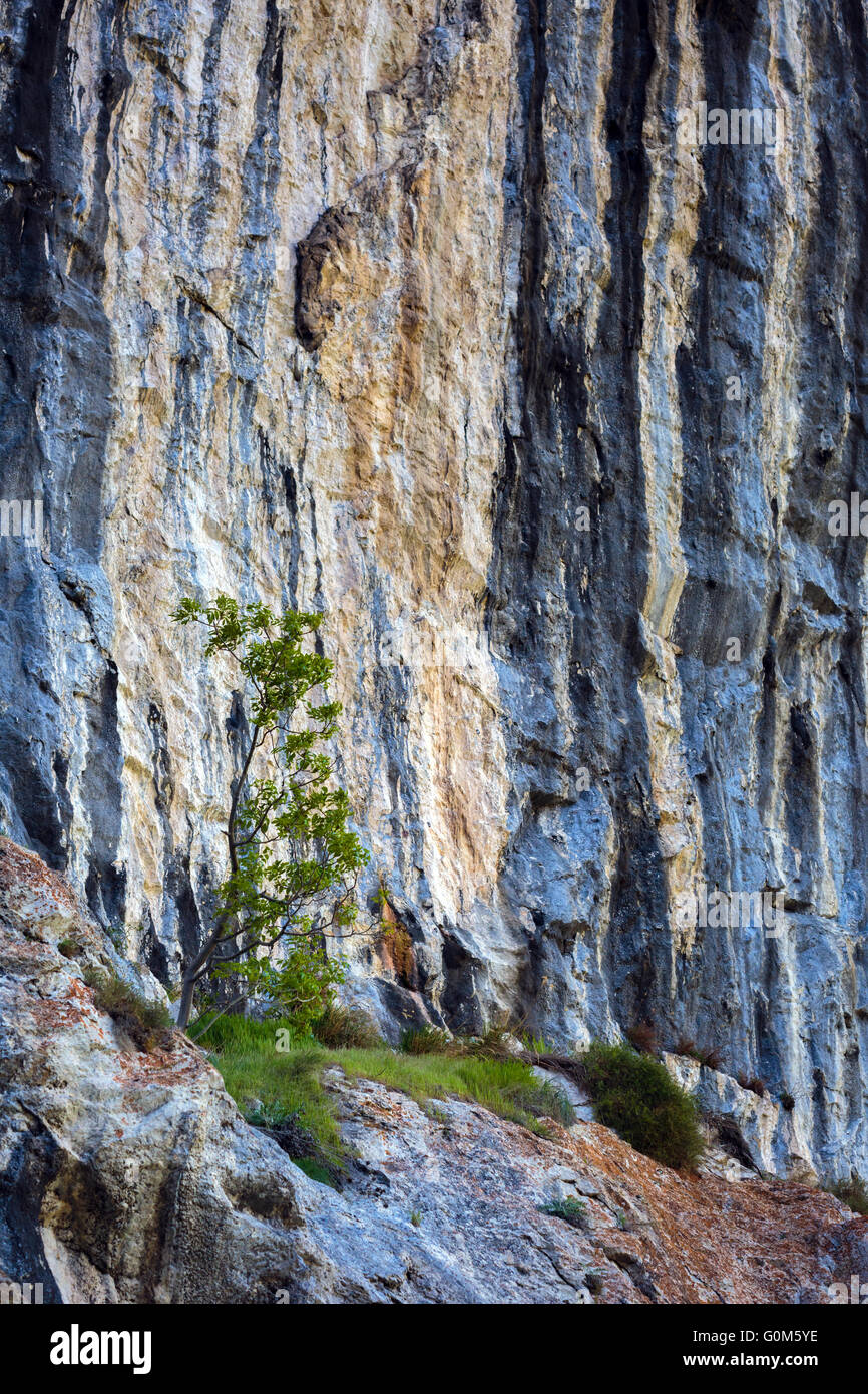 Landscape with limestone cliffs on mountain, geology subject Stock ...