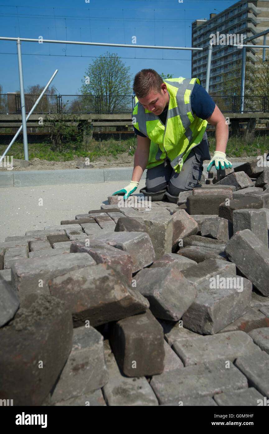 Young man laying bricks, paving a street Stock Photo - Alamy