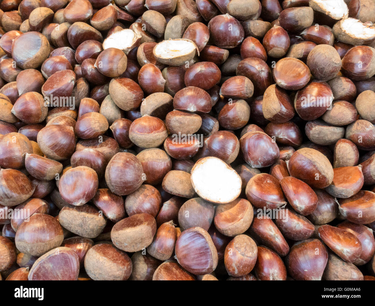 A pile of chestnut hi-res stock photography and images - Alamy
