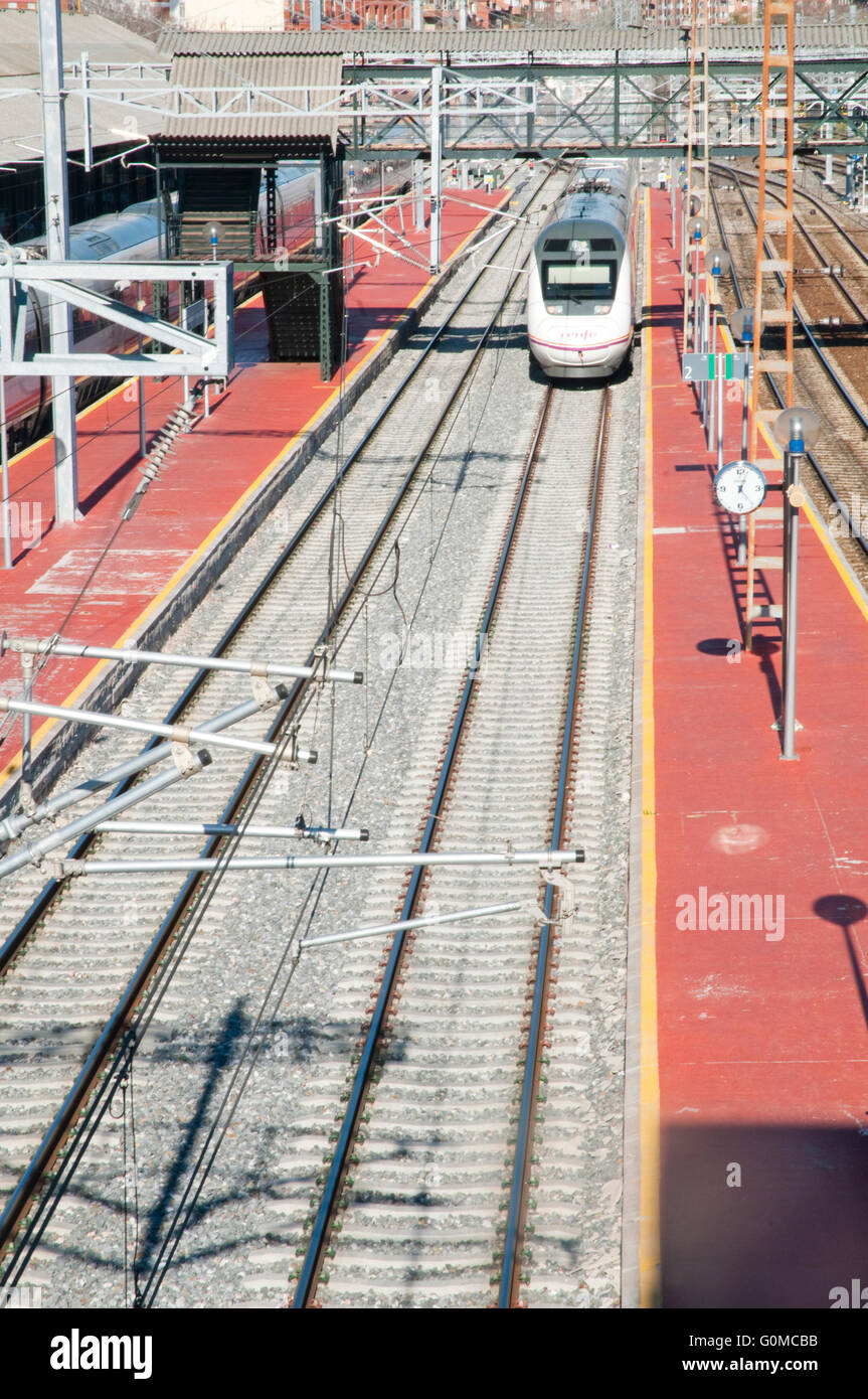 Train, via and platform, view from above. Campo Grande Railway station ...