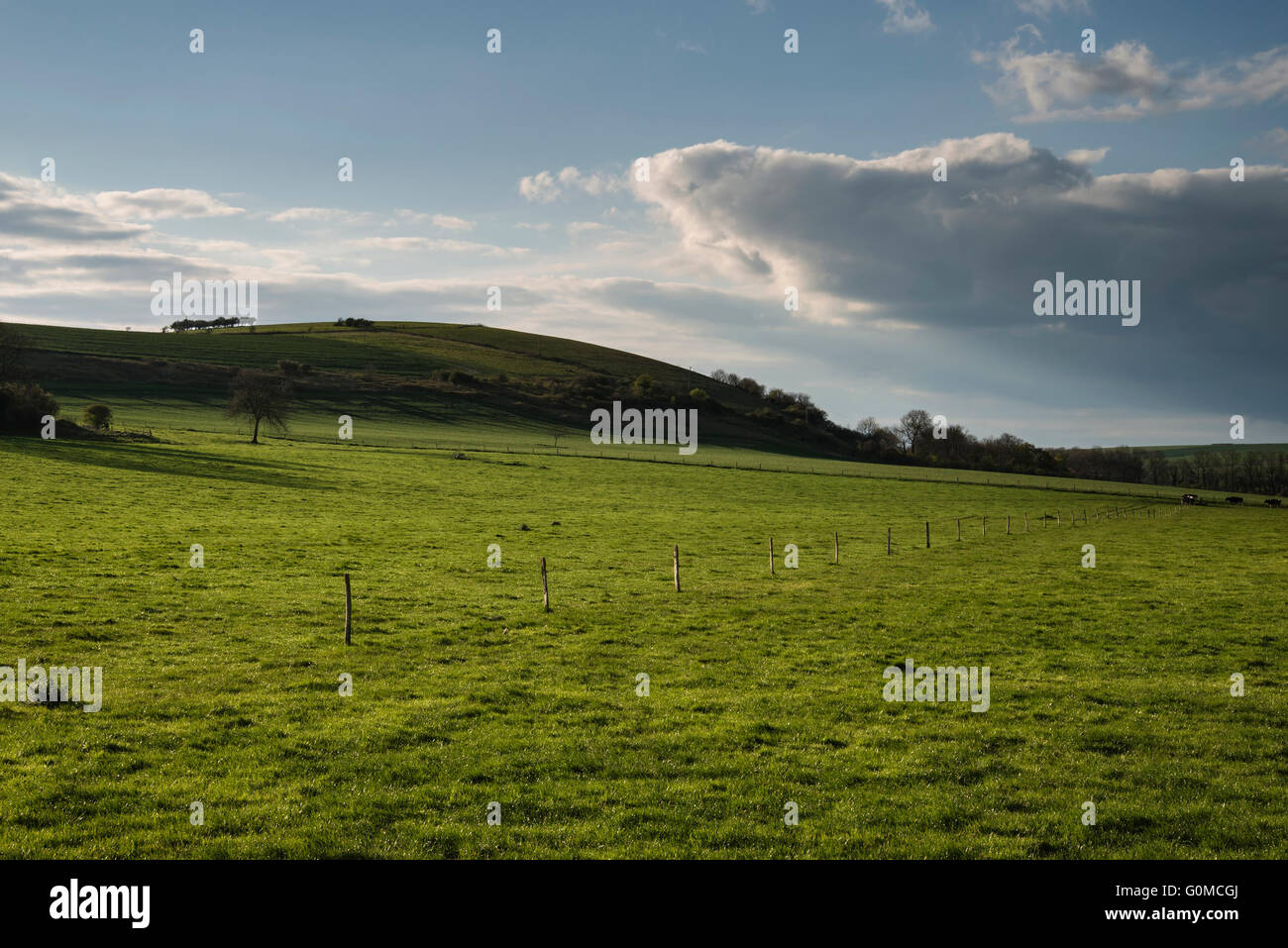 Stunning English countryside landscape over fields at sunset Stock ...