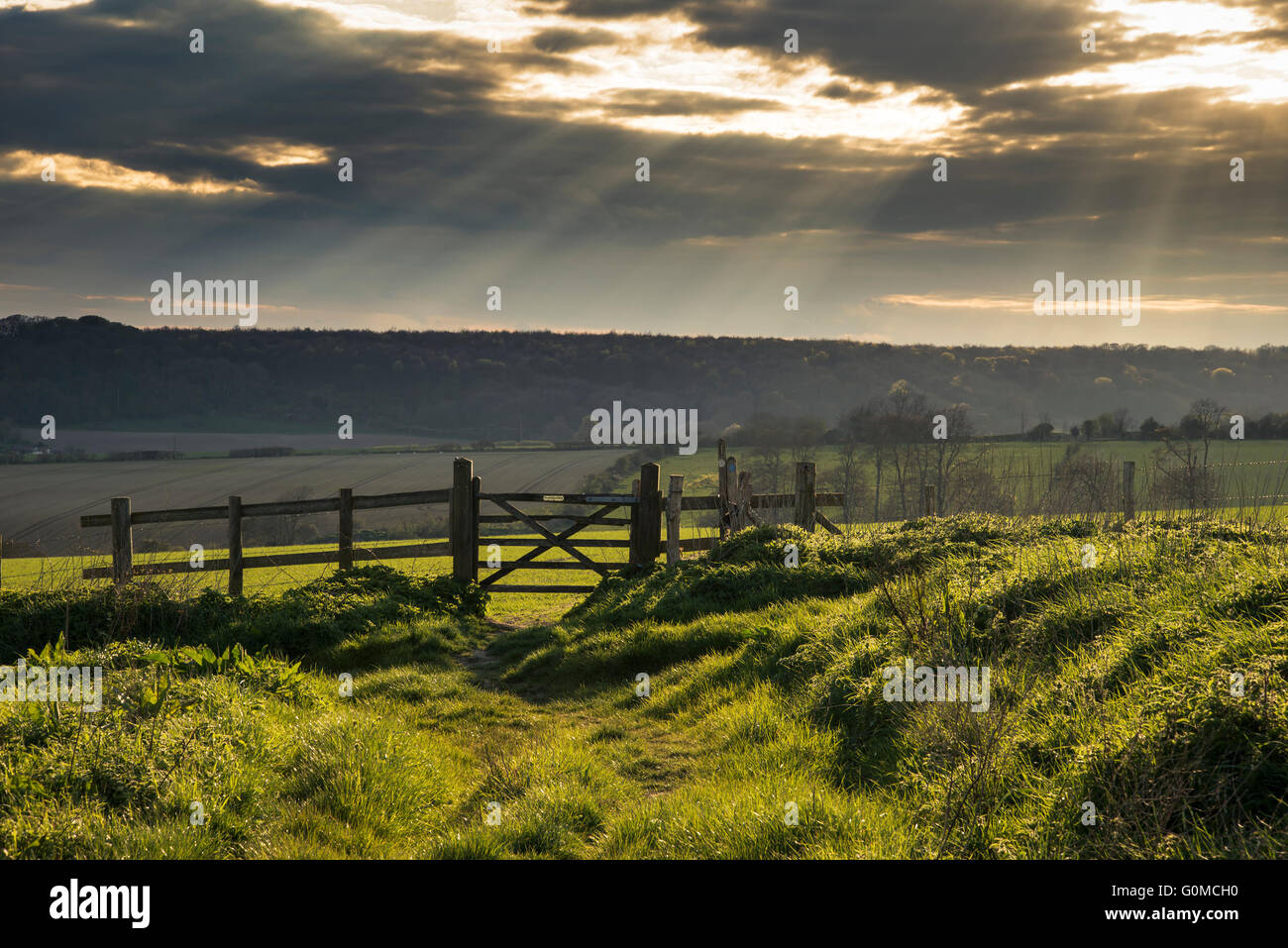 Stunning English countryside landscape over fields at sunset Stock ...
