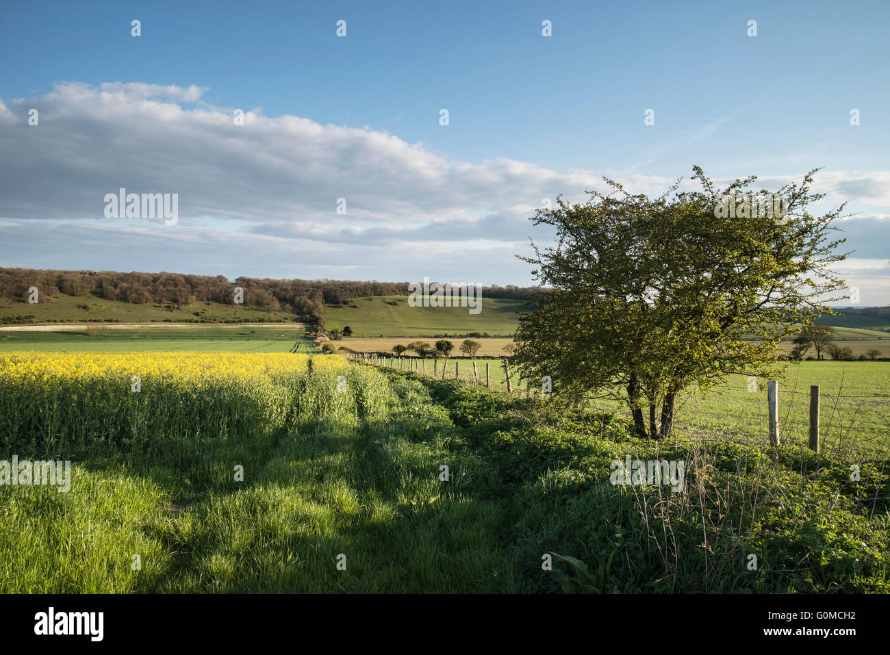 Stunning English countryside landscape over fields at sunset Stock ...