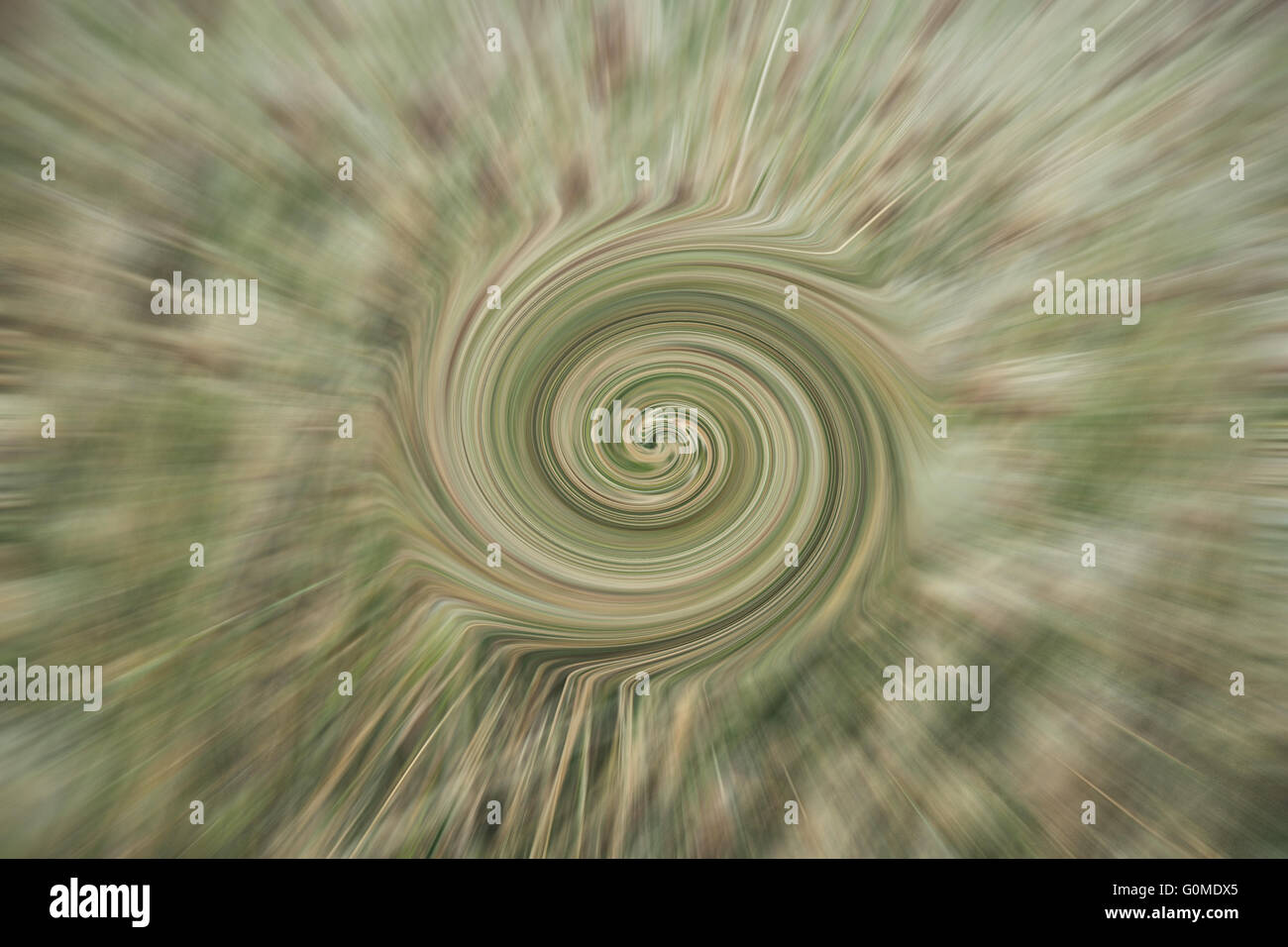 Abstract color circle center spin, Background texture Stock Photo - Alamy