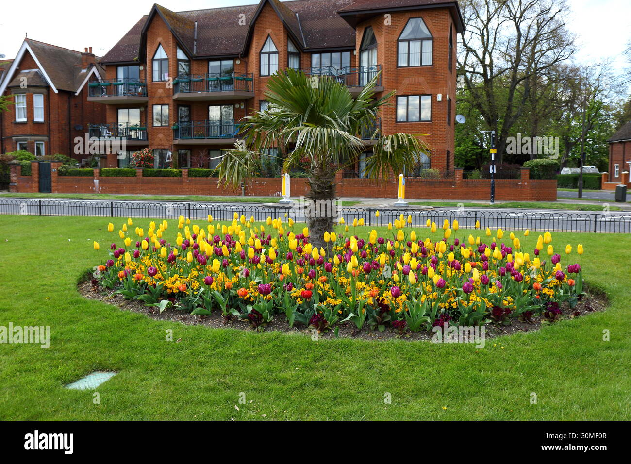 Flowerbeds in full blossom hi-res stock photography and images - Alamy
