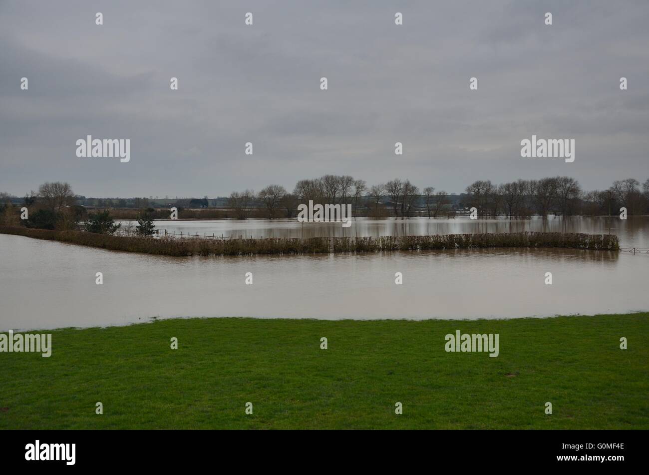 Flooded Fields in Countryside Stock Photo - Alamy