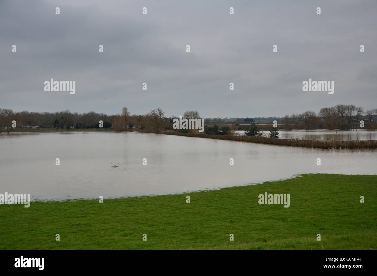 Flooded Fields in Countryside Stock Photo - Alamy
